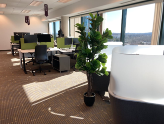 Reckitt - Capital Office Interiors